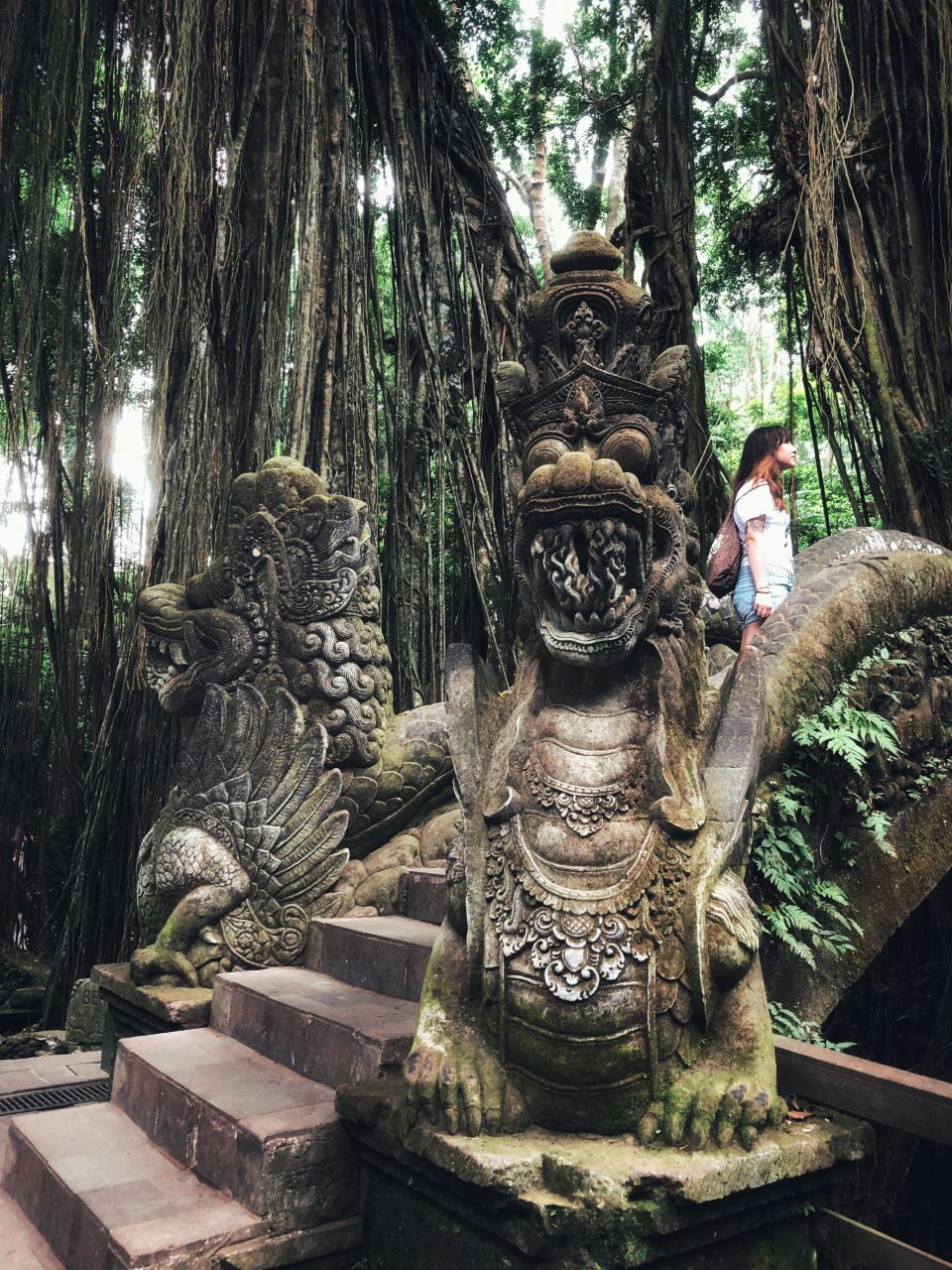 Visitar el Ubud Monkey Forest: información y consejos - Viajes Globetrotter