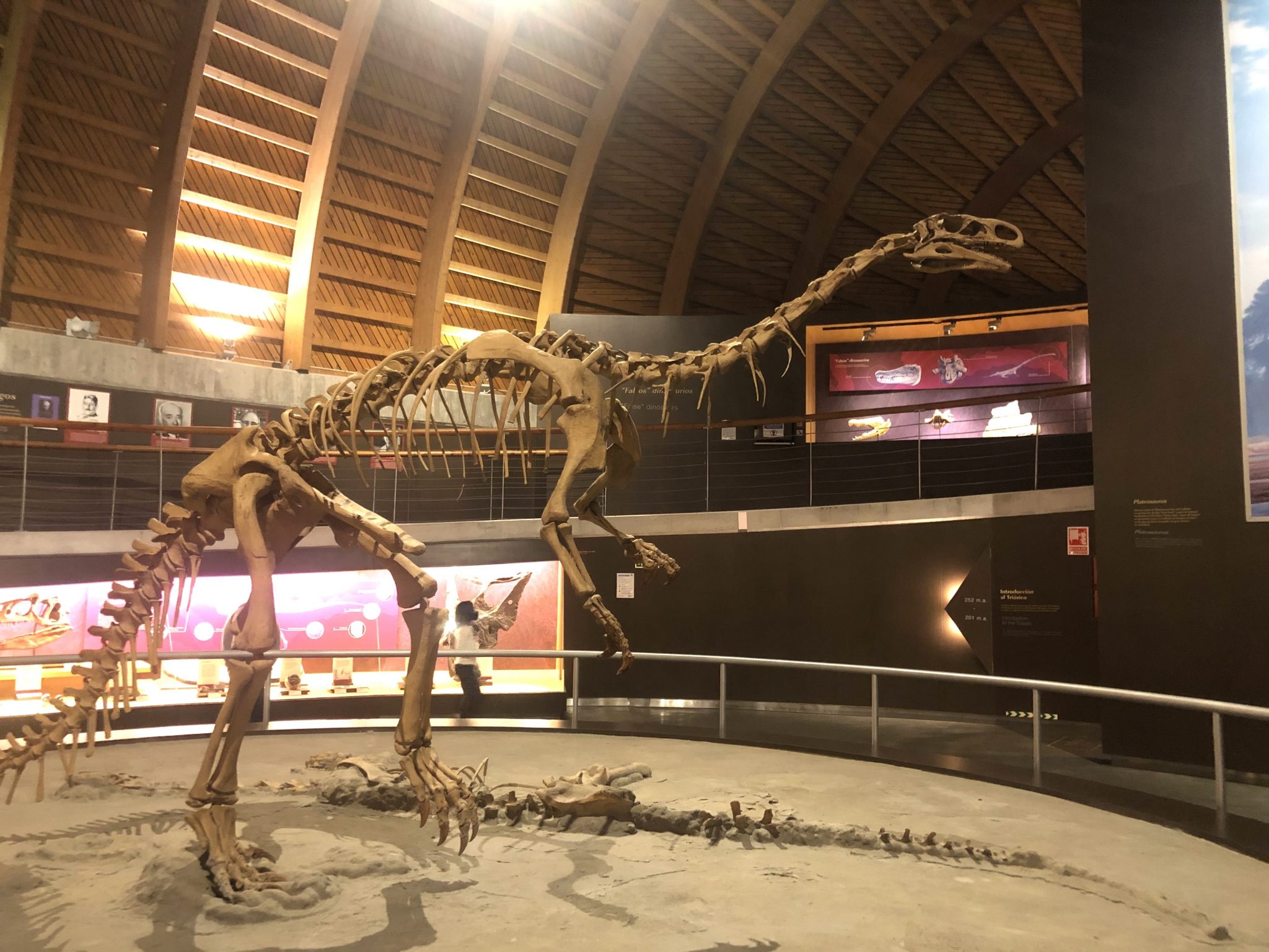 Visitar el Museo Jurásico de Asturias en Colunga - Viajes Globetrotter