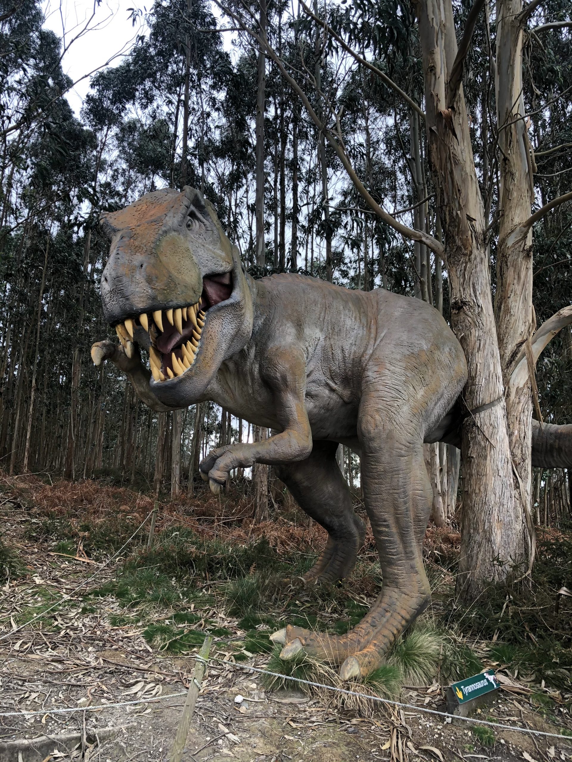 Visitar el Museo Jurásico de Asturias en Colunga - Viajes Globetrotter