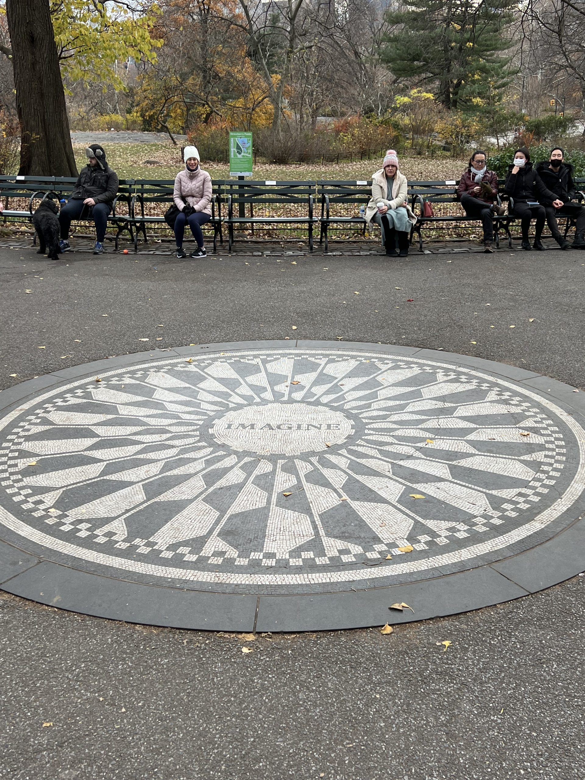 Qué ver y hacer en Central Park - Viajes Globetrotter